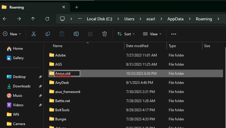 How to Reset Your Ansys Profile Folder