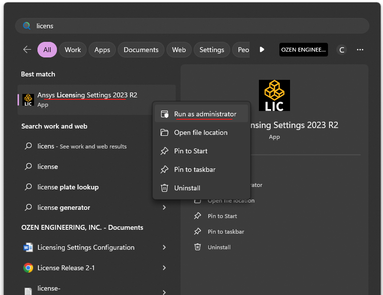 How To Enable Your Ansys Elastic Currency
